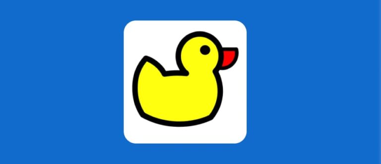 Удаленный доступ Home Assistant Duck Dns Io Home